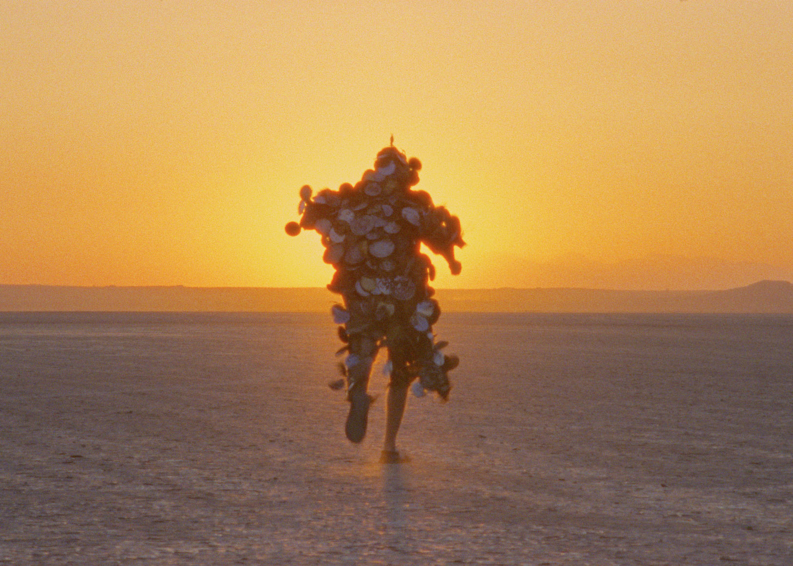 Opening and Opening: The Worldmaking of Ben Rivers - Millennium Film Journal